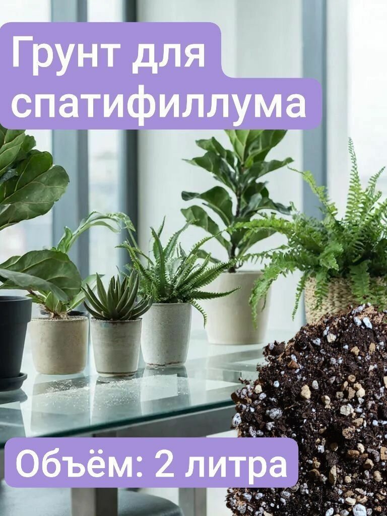 Грунт для Спатифиллума, 2 литра