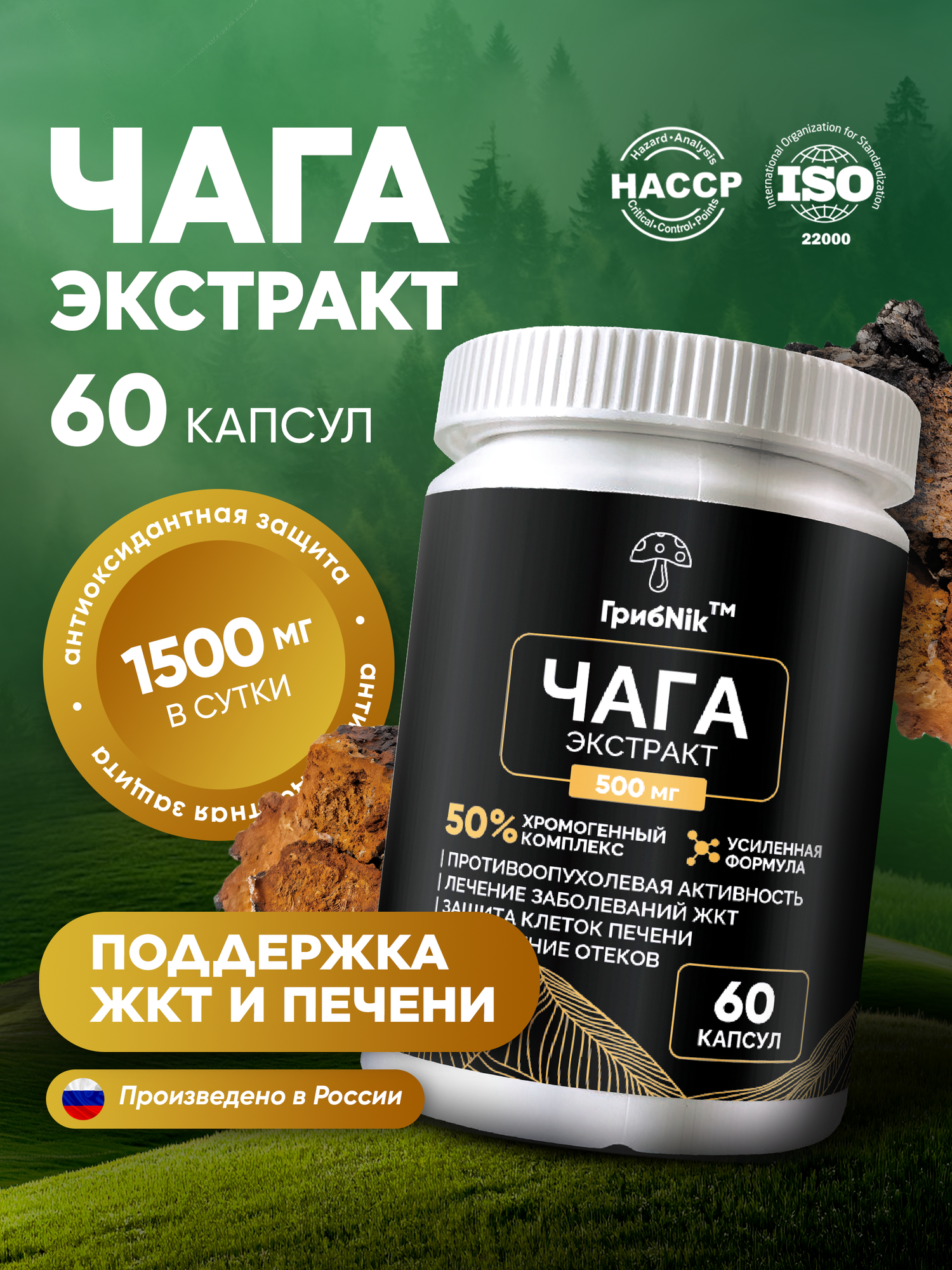 Чага березовая в капсулах чага экстракт для иммунитета 60 капсул по 500мг