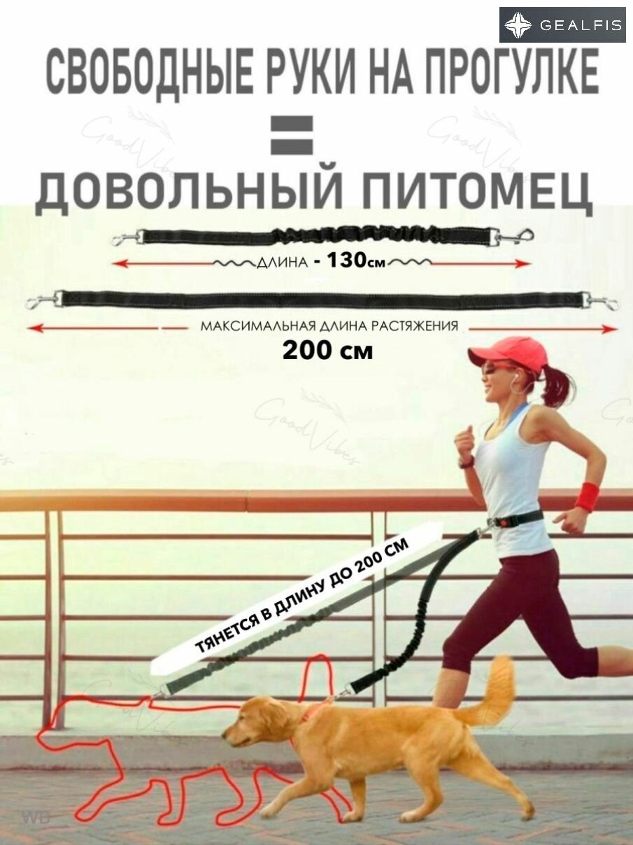 Поводок для бега с собакой амортизатором