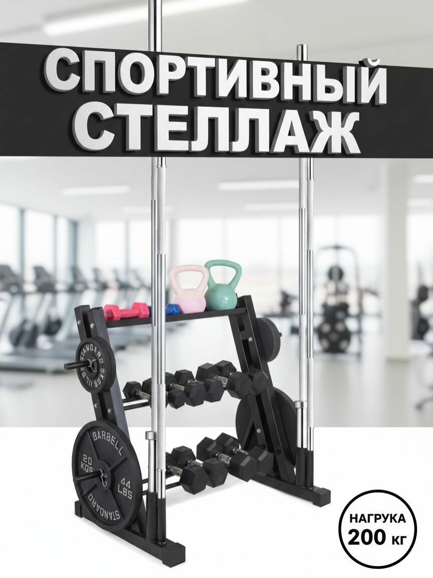 Стойка для гантелей с нагрузкой 200 кг, стеллаж для гантелей и блинов металлический