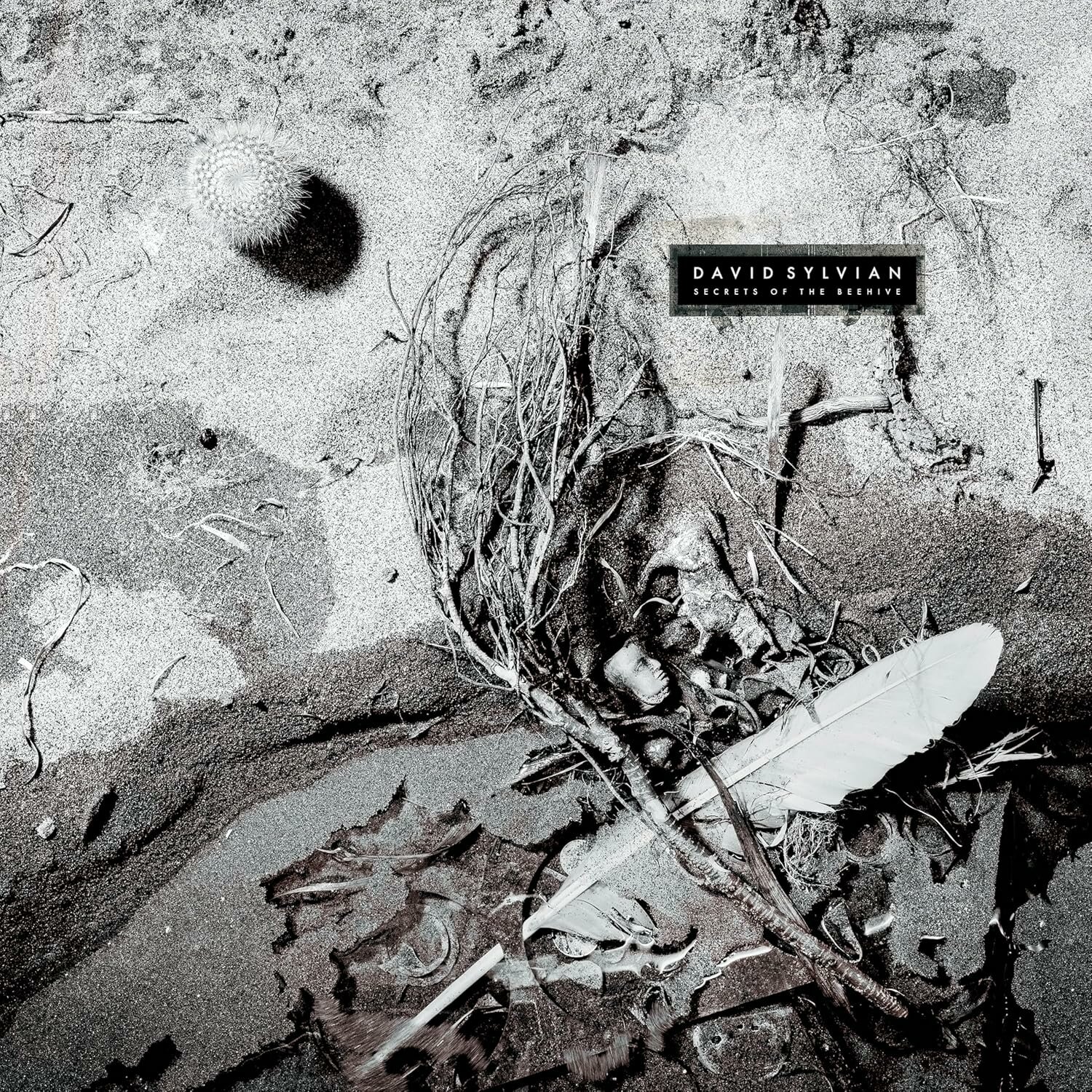 Виниловая пластинка David Sylvian. Secrets Of The Beehive. Yellow Opaque Black (LP)