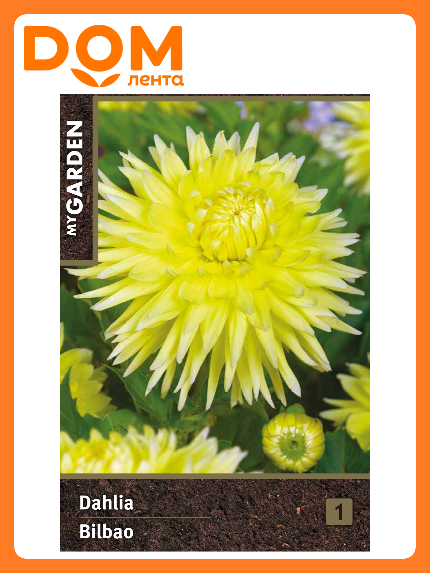 Георгина декоративная Бильбао