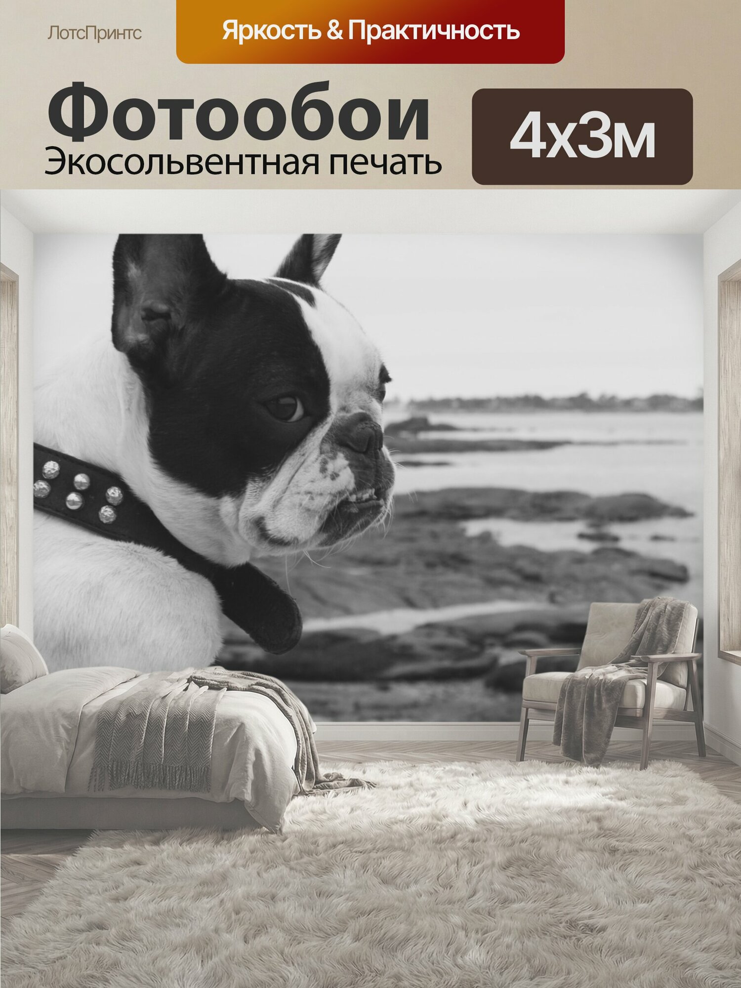 Фотообои "Французский бульдог, собака, море" 400x300 см. экосольвентная печать