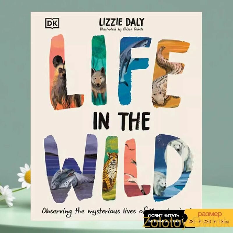 Книга DK "Life in the Wild" 2024, твердый переплет, английский язык