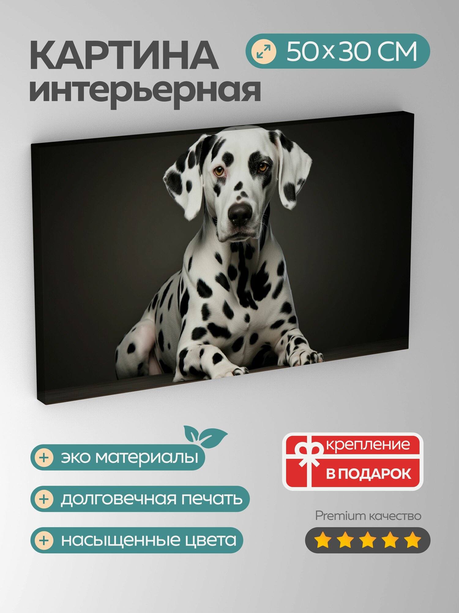 Картина на холсте интерьерная 50х30 см, Далматинец, фотография, профессиональная фотосесс, естественный свет