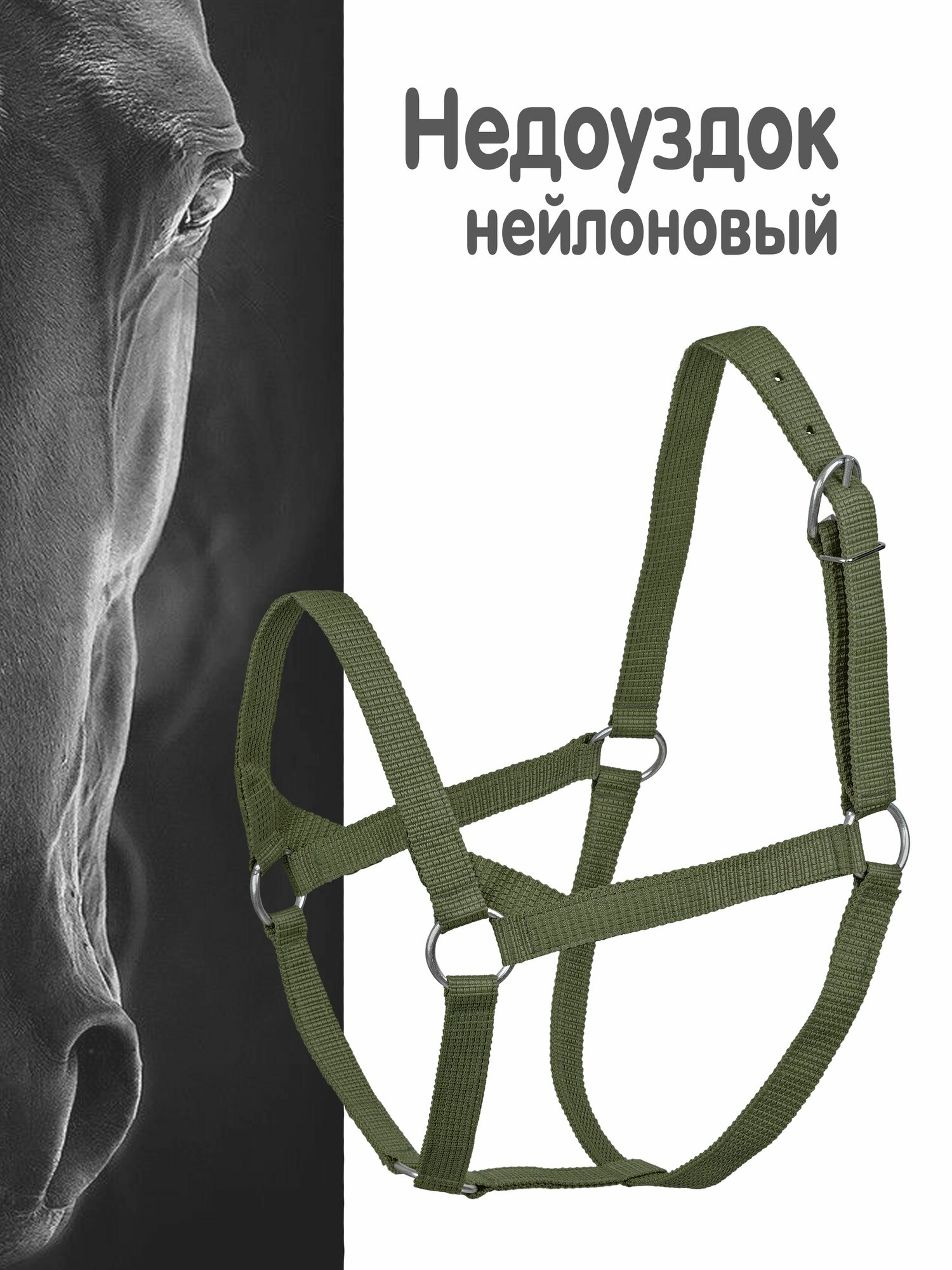 Недоуздок Reiter Full, для управления лошадью, нейлон, 25мм, хаки