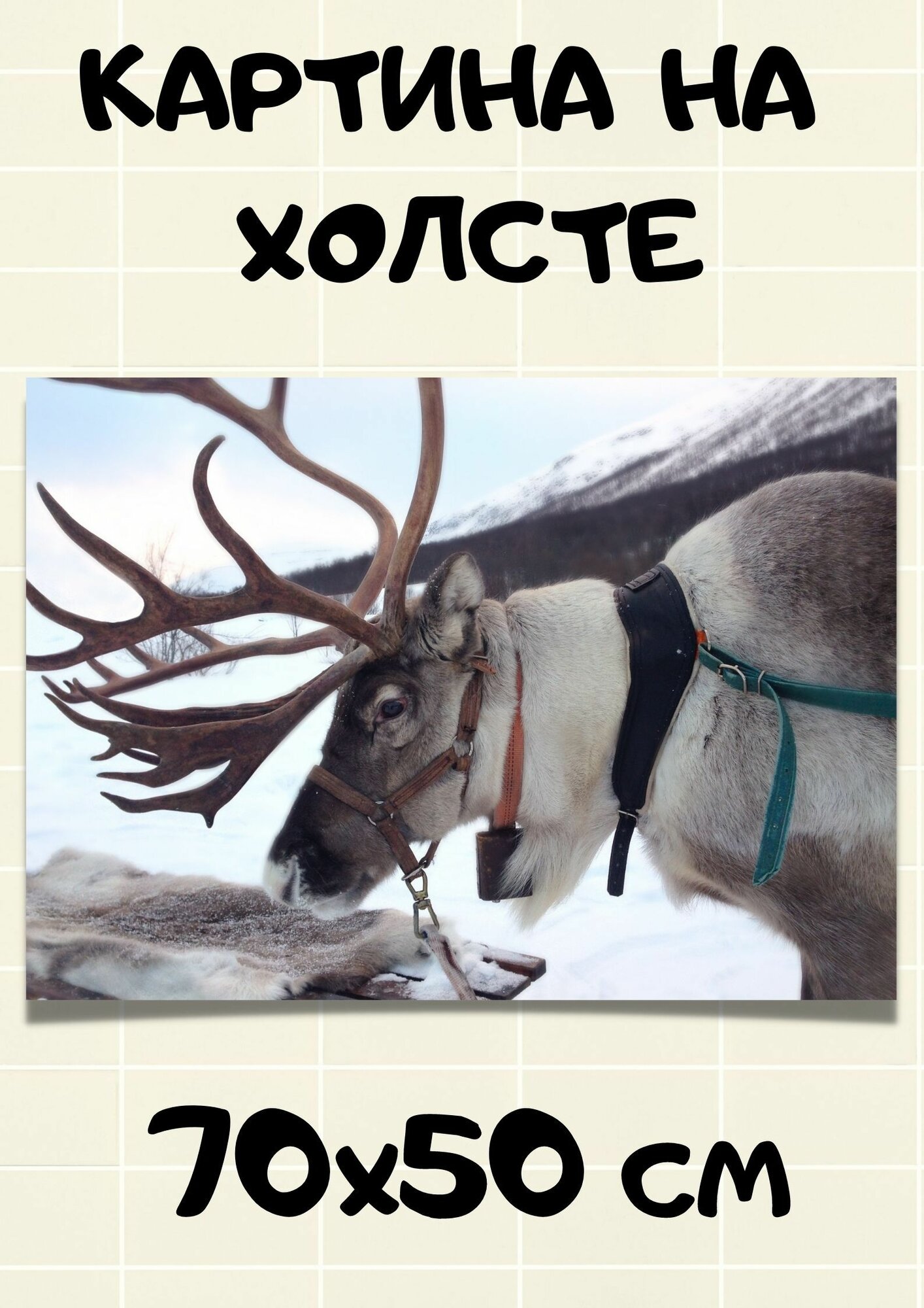 Картина с дикими животными "Северный олень в упряжке" 70х50 см