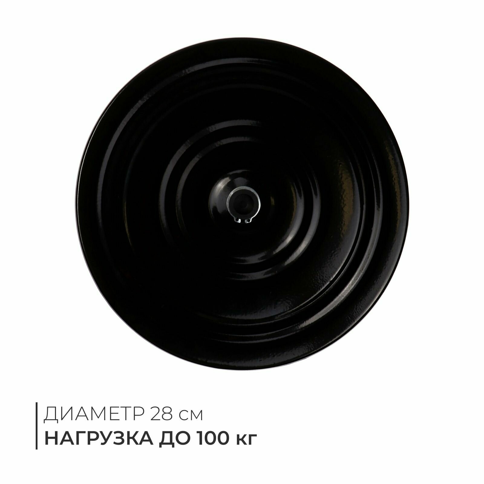 Диск здоровья, металлический, диаметр - 28 см, двухцветный