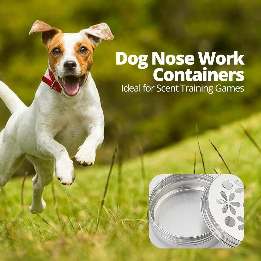 Комплект для обучения собачьему запаху