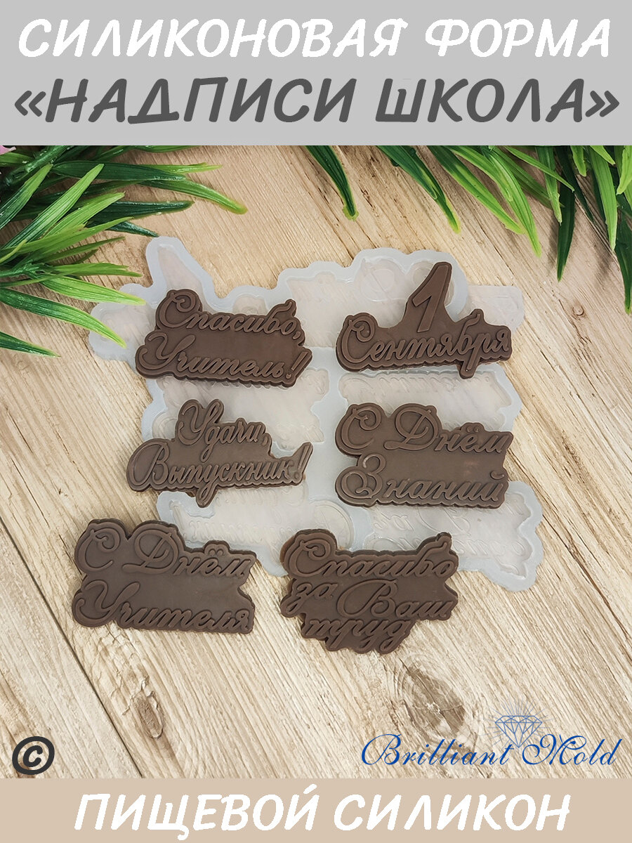 Силиконовая форма для шоколадных плиток Brilliant Mold. Молд Надписи школа