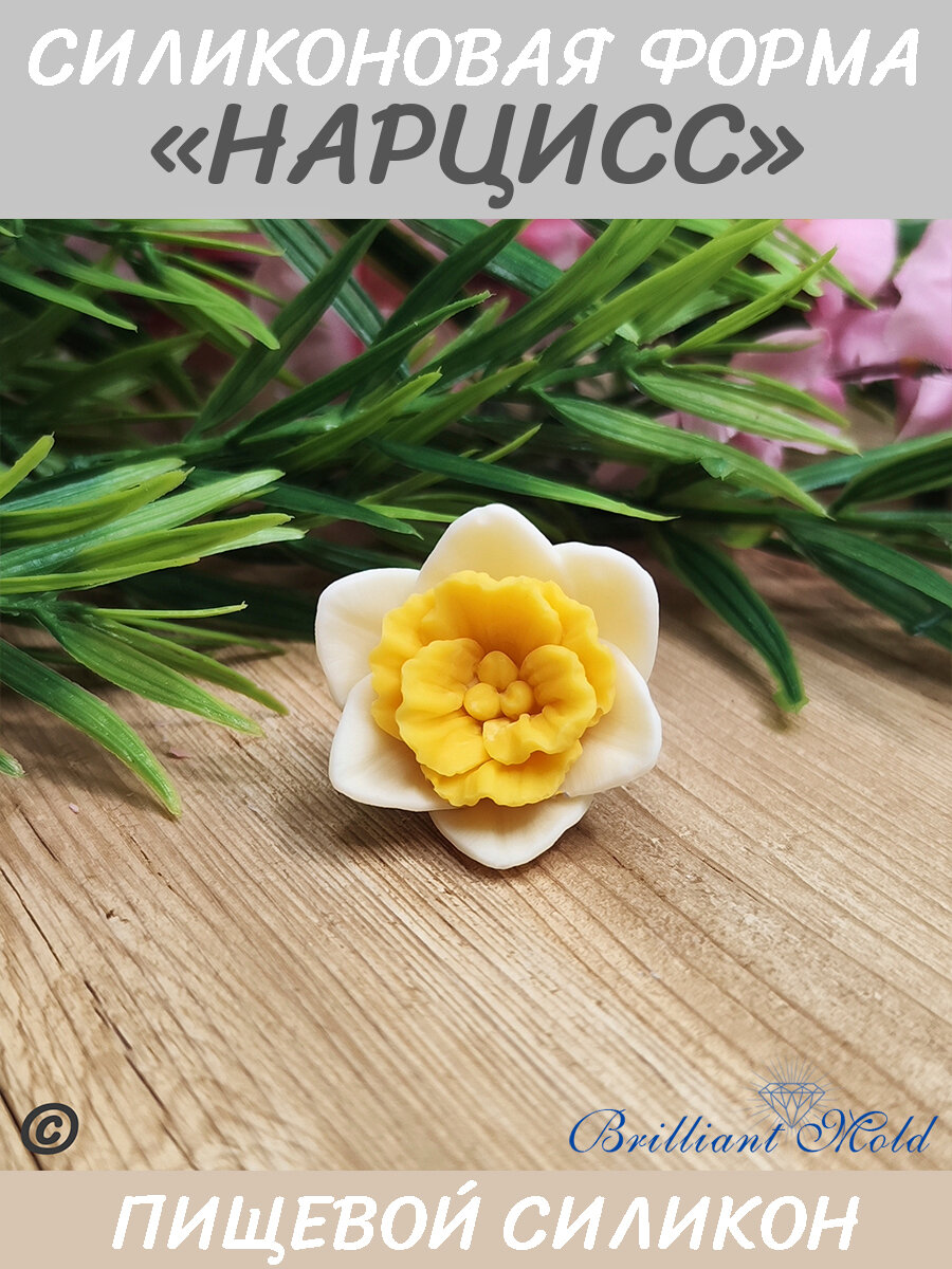 Силиконовая форма для конфет Brilliant Mold. Молд Нарцисс