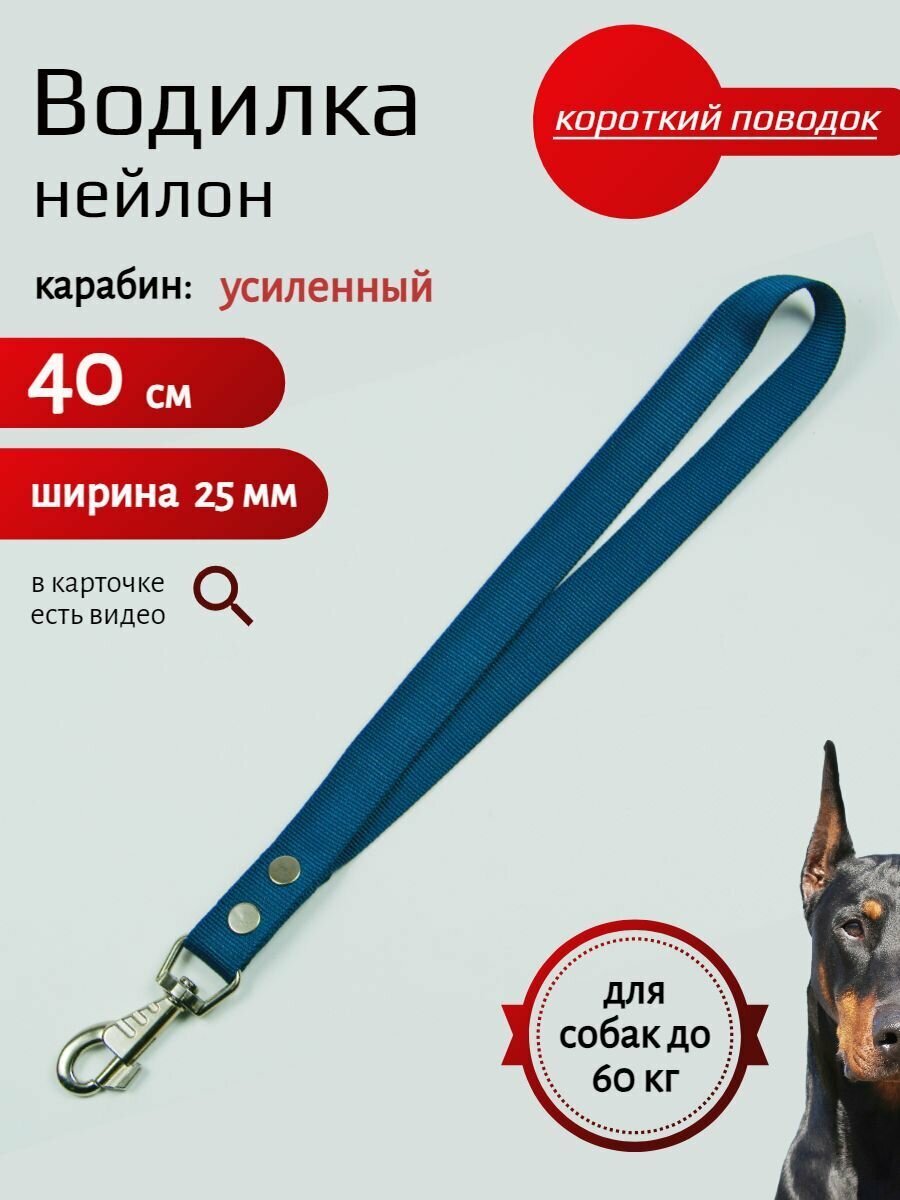 Водилка Хвостатыч для собак с усиленным карабином нейлон 40 см х 25 мм (темно-синий)