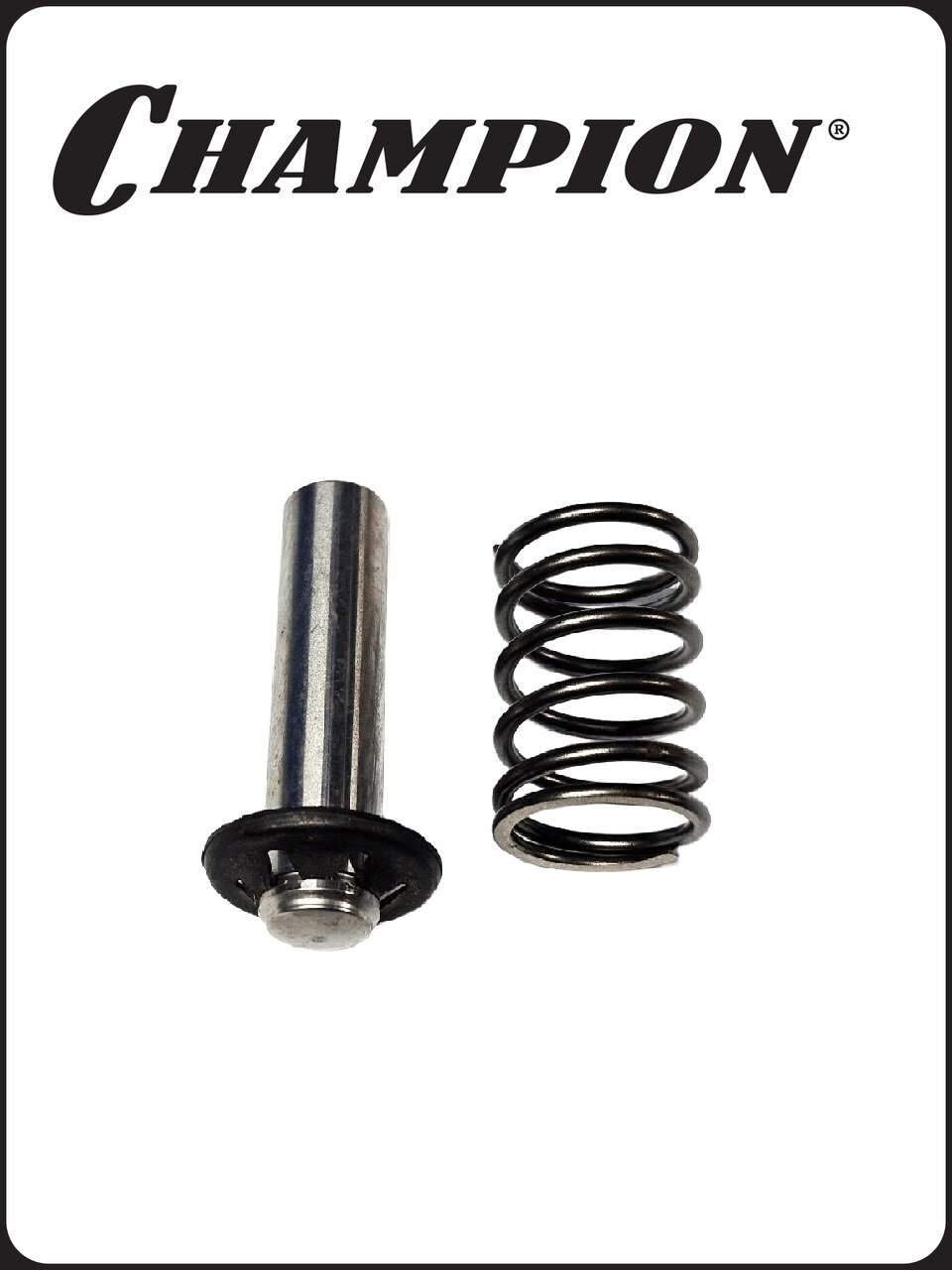 Поршень насоса CHAMPION HP3200 (1 шт.) для моек высокого давления