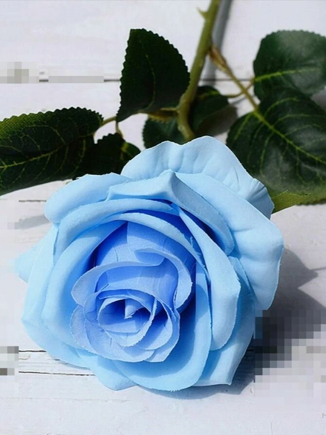 Роза голубая 10шт.