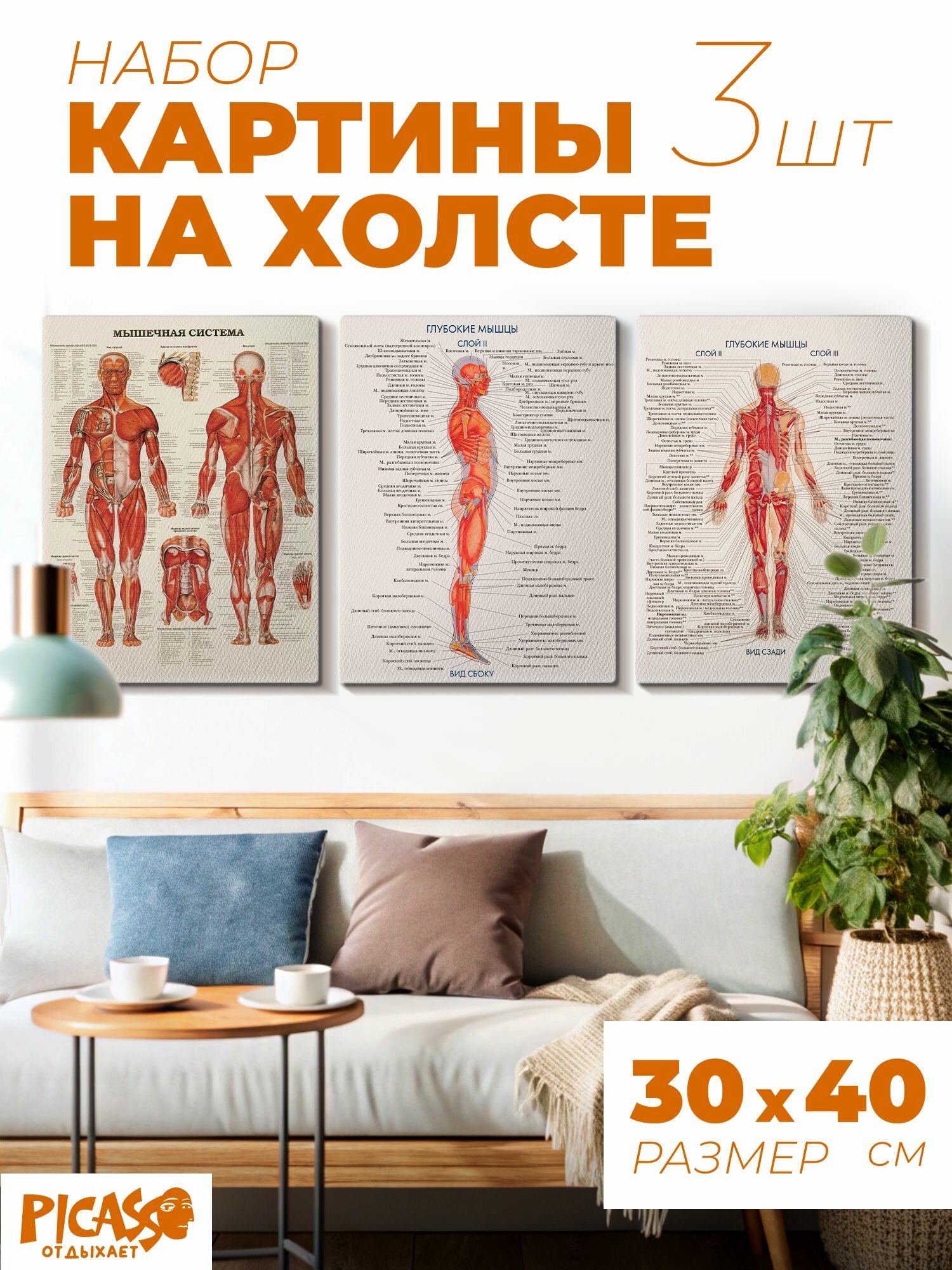 Картины на стену тело человека мышечная система