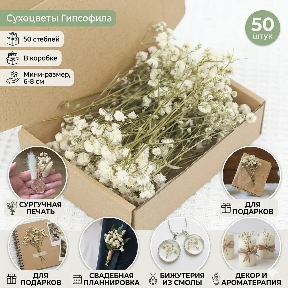 Сухоцветы Лотос, 30 см, 100 гр, 3 шт