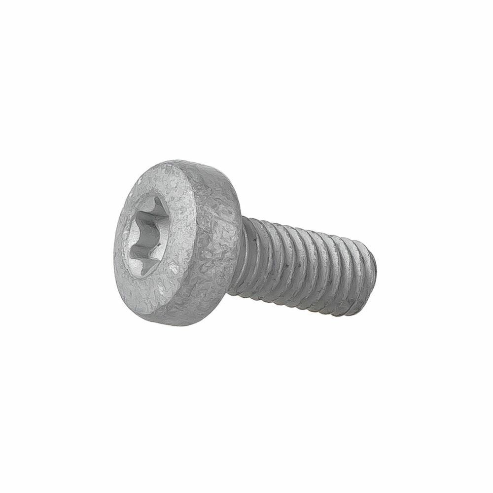 Винт опопры топливной рейки с внутренним TORX VAG N10405604