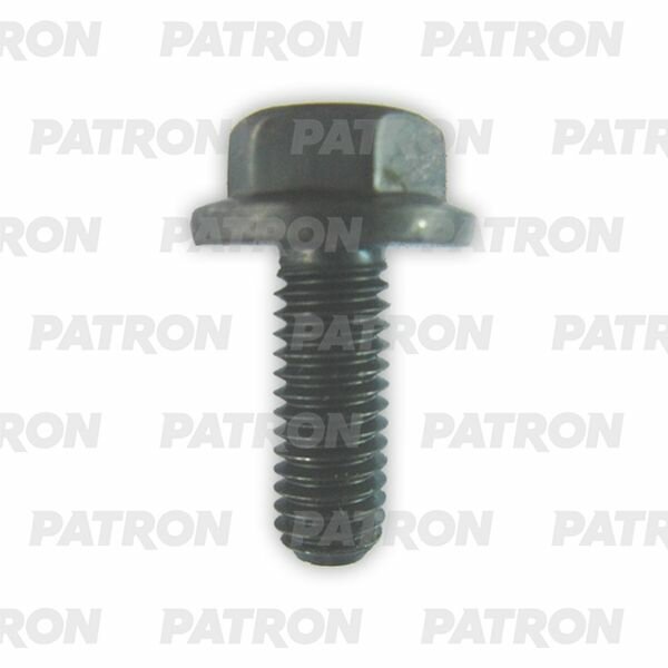 Болт металлический универсальный черный M12X40 PATRON P37-3034T