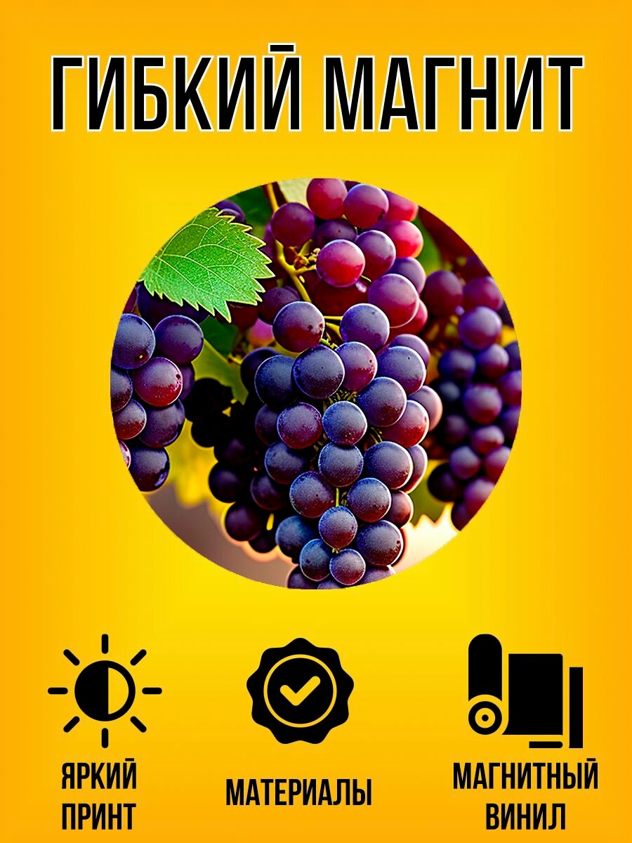 Магнит гибкий круглый с принтом Виноград №2