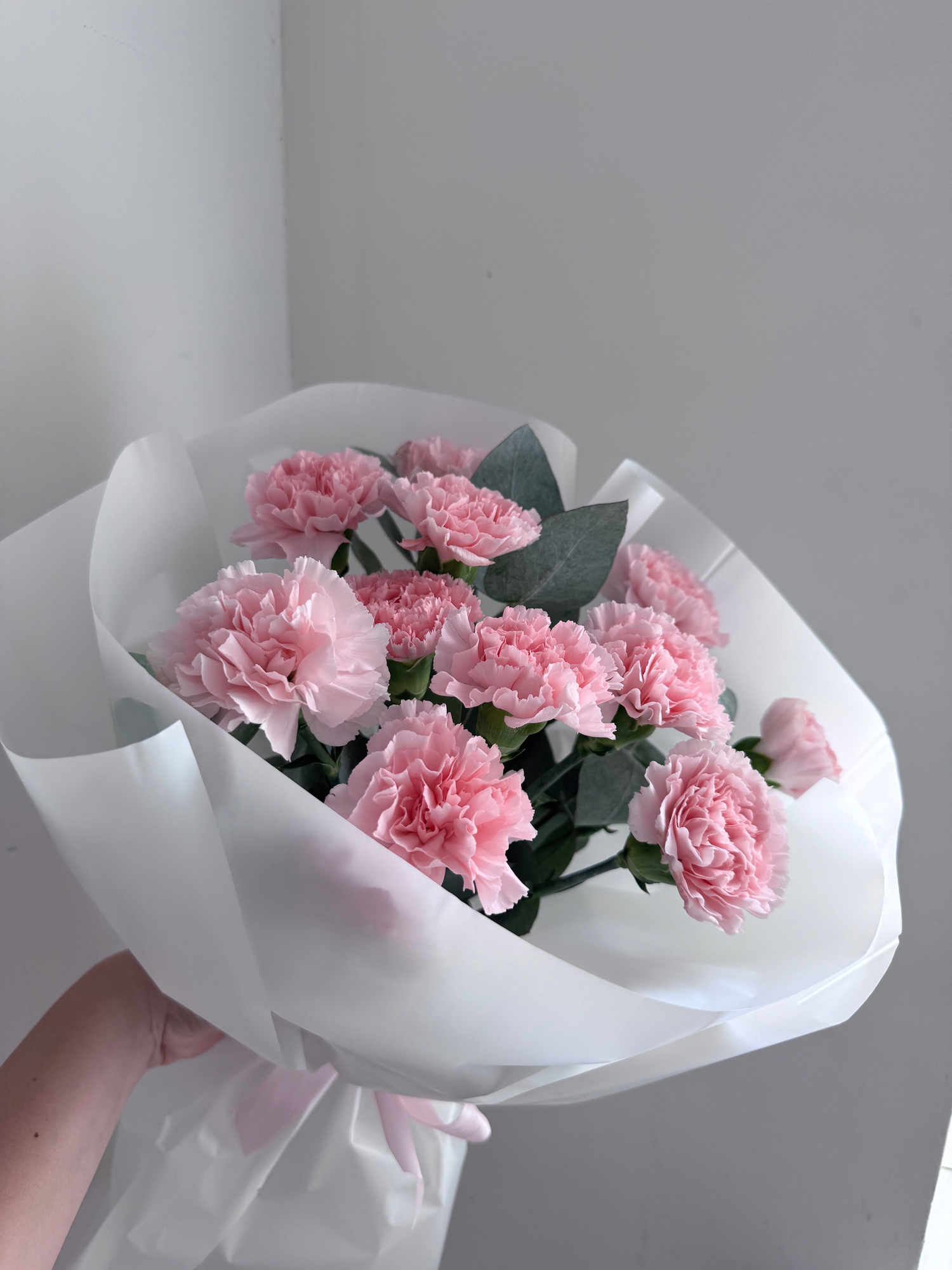 Букет AURA BUKET "Стойкие Диантусы" , гвоздика, розовый, 11 штук