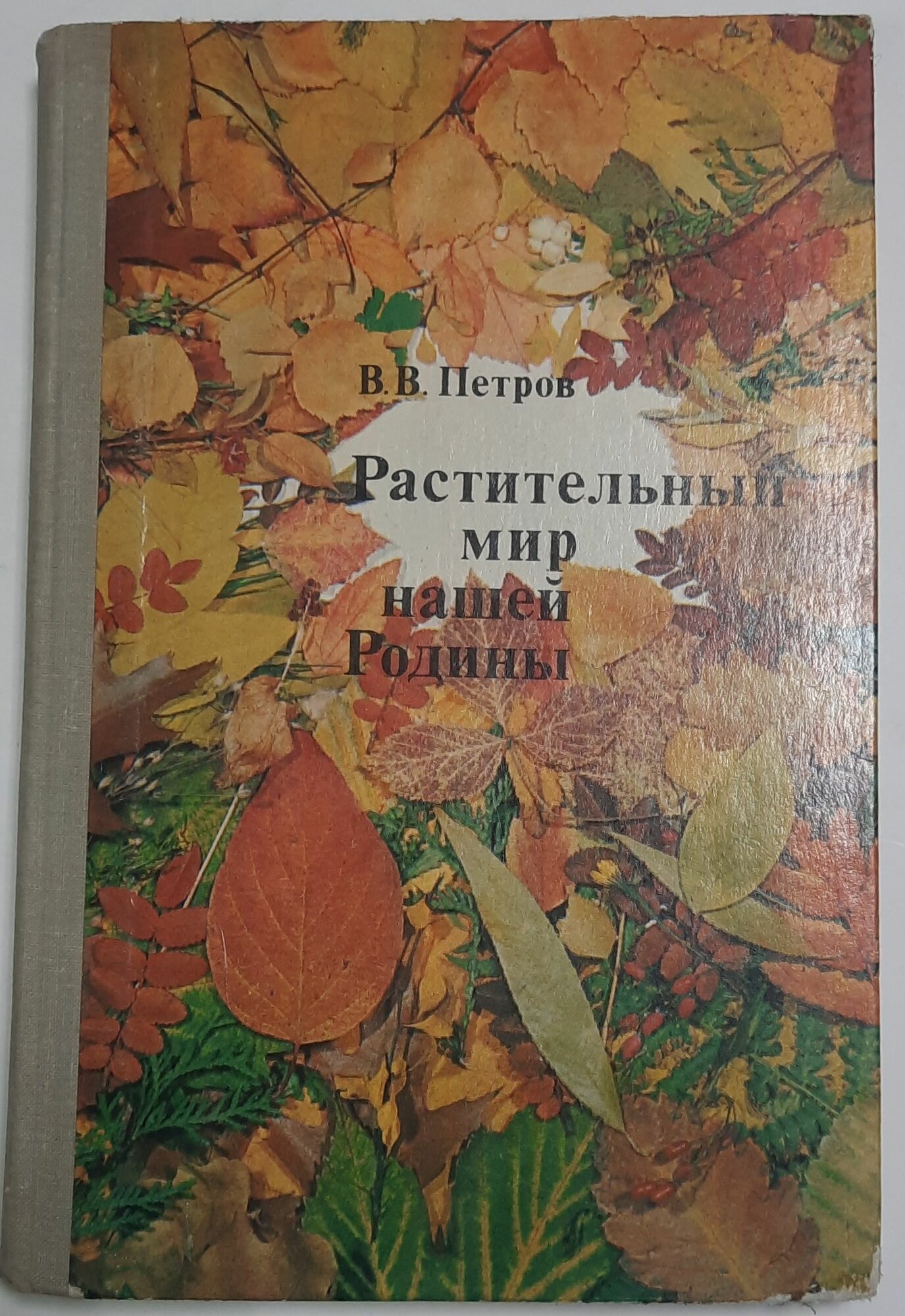 Растительный мир нашей Родины