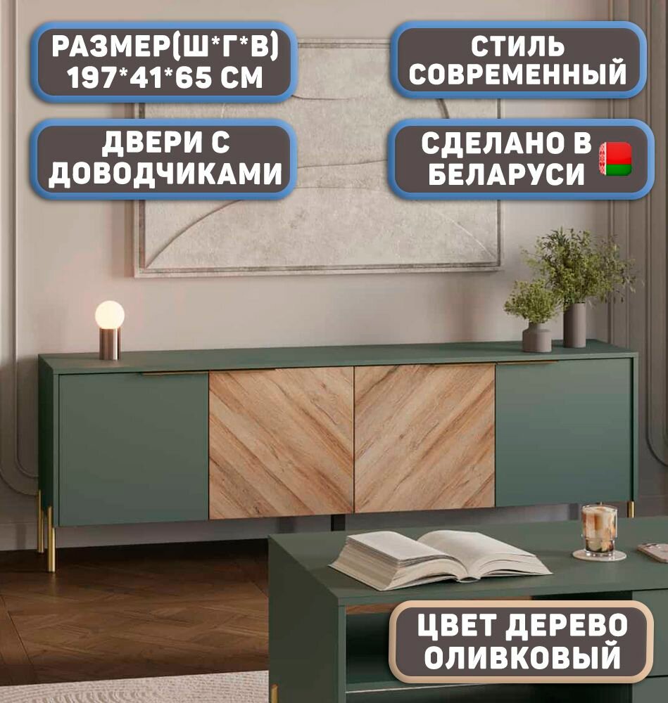 Тумба под телевизор Сиена 100, 4-дверная, с полками, для гостиной, цвет Оливково-зеленый/Древесный