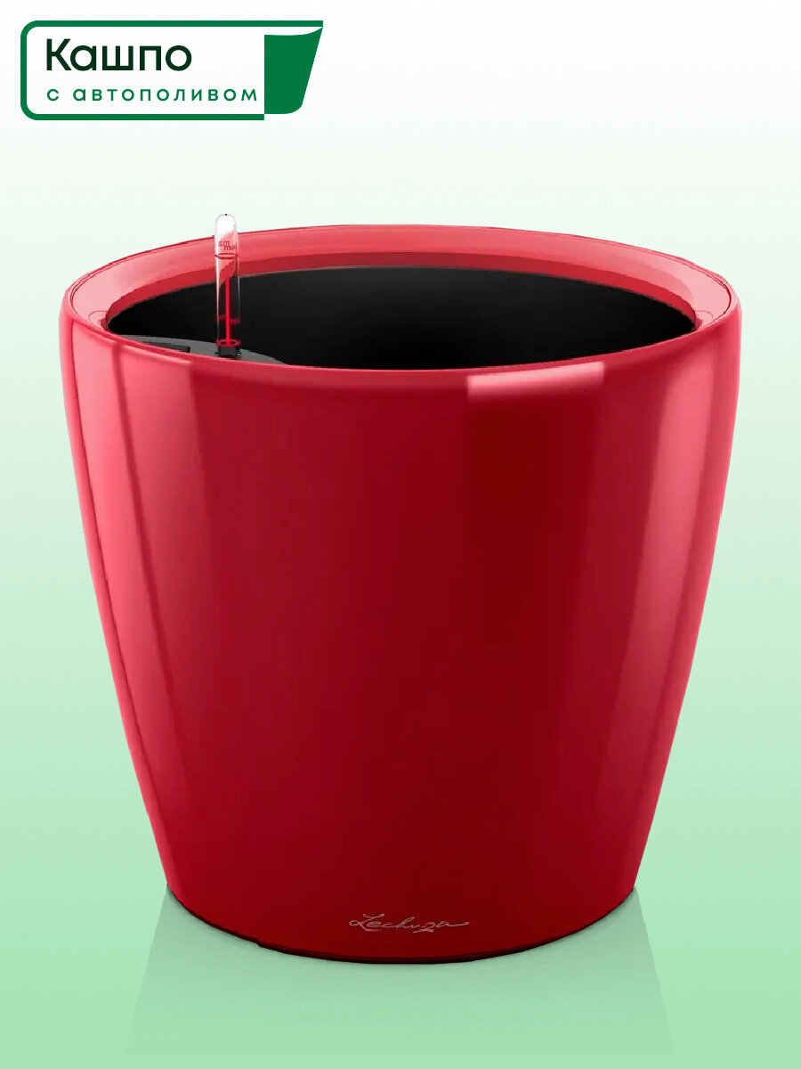 Кашпо с автополивом Lechuza CLASSICO Premium 21 LS, D22 H20 см, красное глянцевое / горшок для цветов