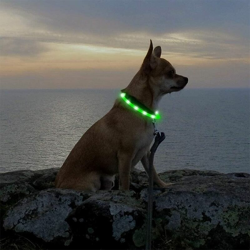 Светодиодный ошейник для собак с подсветкой, с зарядкой через USB, подходит для больших, средних и маленьких собак и кошек, длина 70 см, версия с лампой-бусиной зеленый