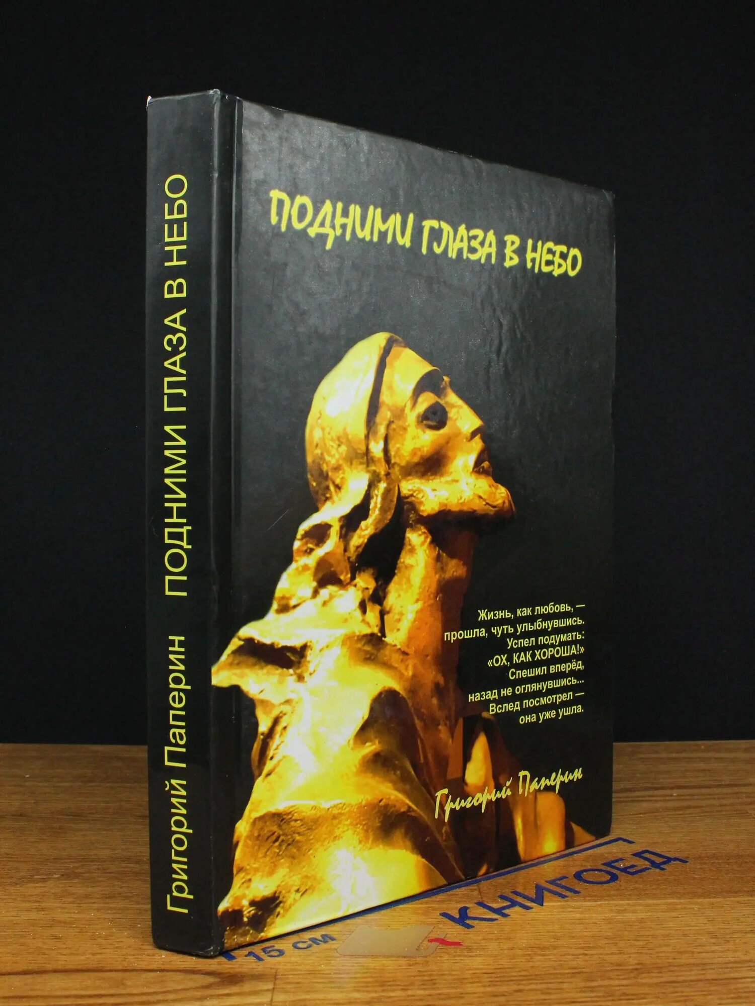 Книга. Подними глаза в небо 2025 (2044731113378)