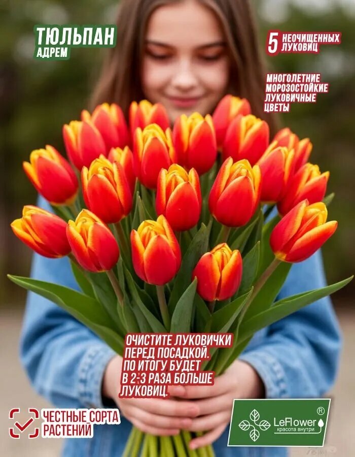 Тюльпан, Луковицы Адрэм 5+ шт (LeFlower)