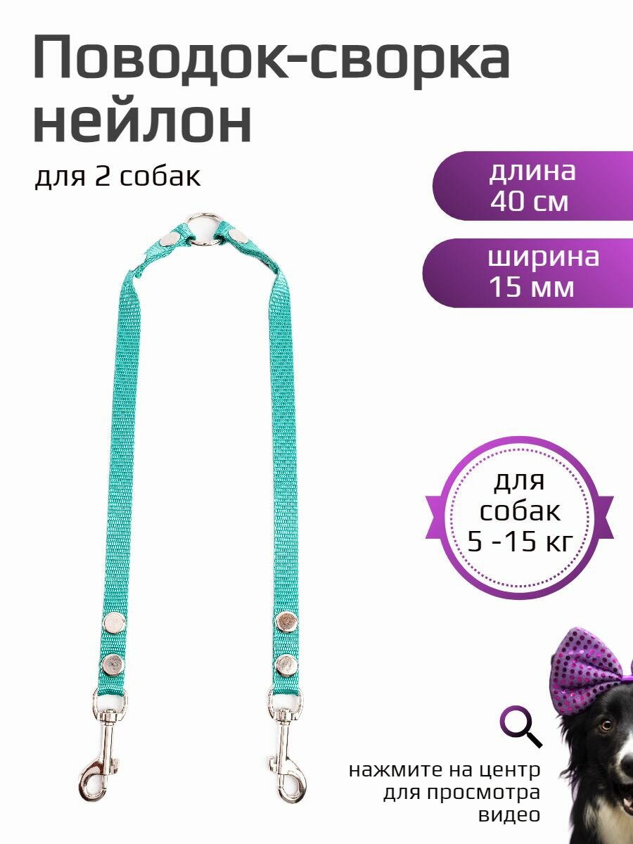 Сворка Хвостатыч для двух собак нейлон 40 см х 15 мм (бирюзовый)
