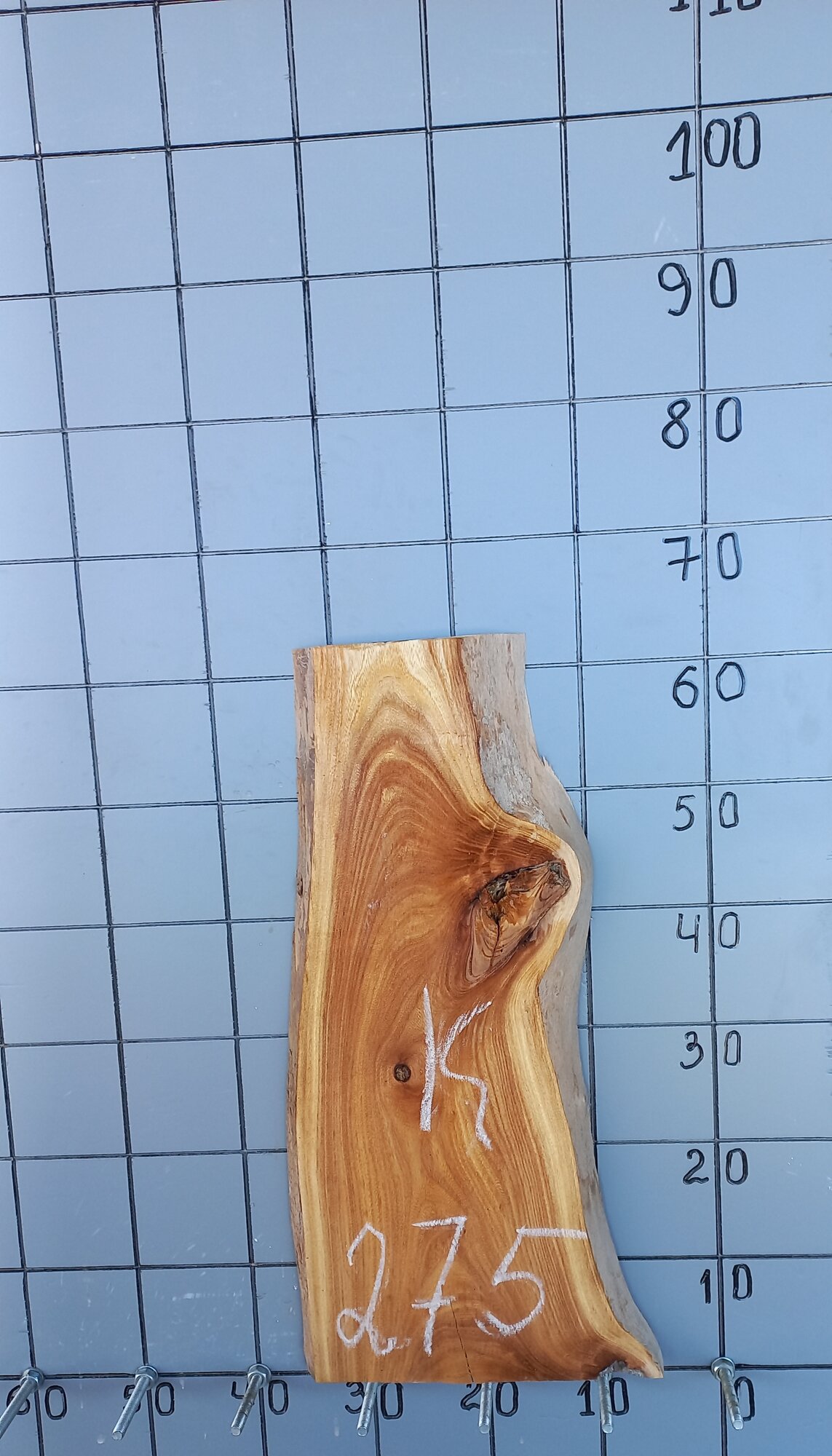 Слэб Доска ДЕРЕВООБРАБАТЫВАЮЩАЯ КОМПАНИЯ Dokles №275 2x21x60см "Карагач", антисептическая, сухая