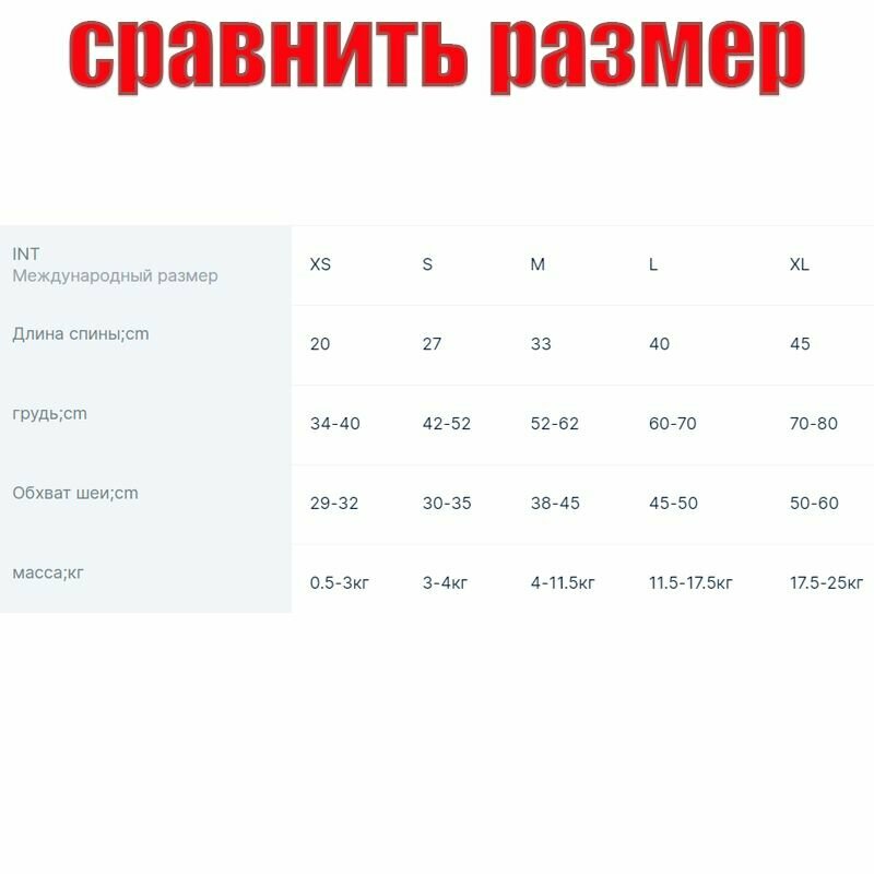 Купальник с акулой для домашних собак, купальник для маленькой собаки