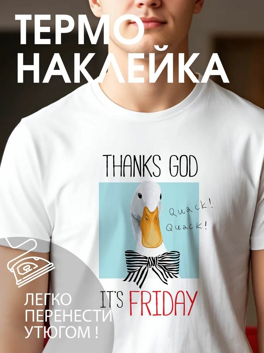Термонаклейка на одежду Гусь в пятницу