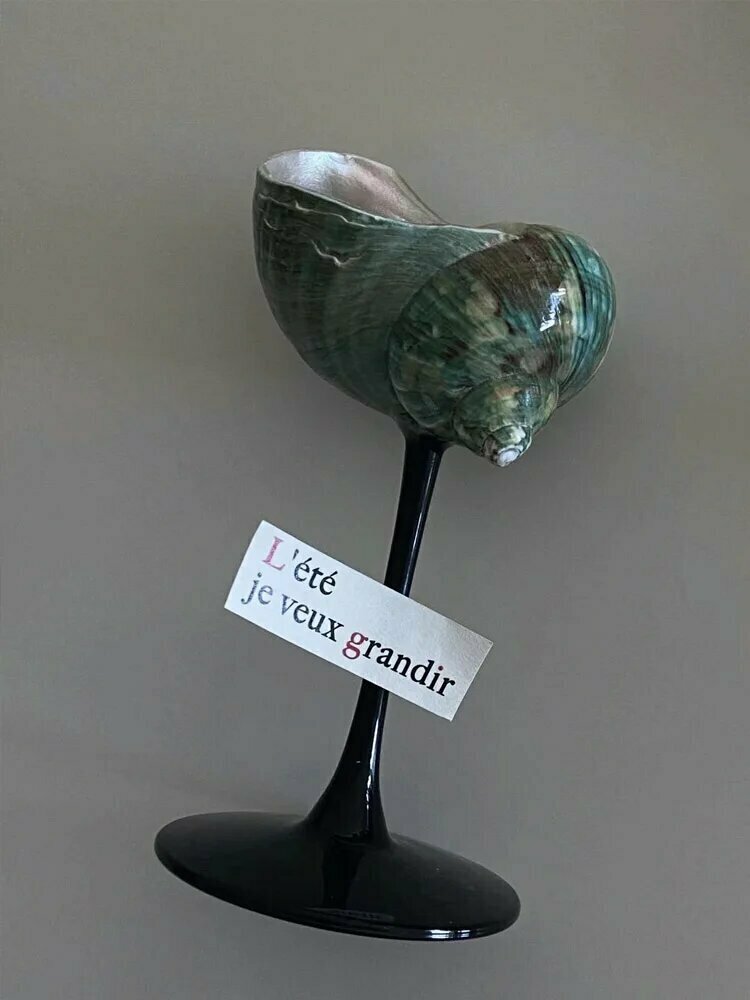 Ручная керамическая чашка из раковины