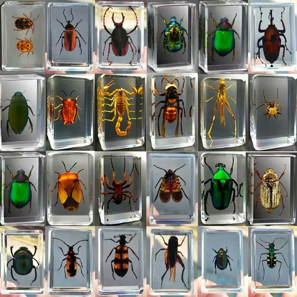 KNOW EASY-Коллекция насекомых, Набор для раскопок насекомых в смоле с подсветкой! Настоящие коллекционные образцы Подарок детям 6+,12шт