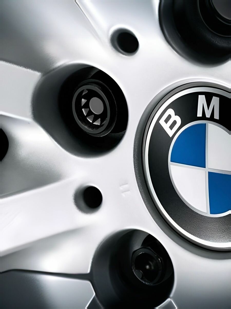Секретки колёсного болта BMW/MINI M14х1,25