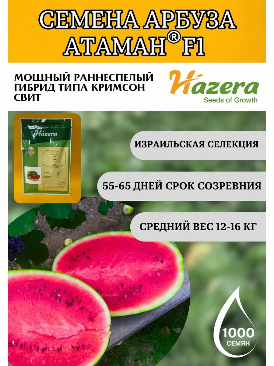 Cемена арбуза Атаман F1 1000 шт