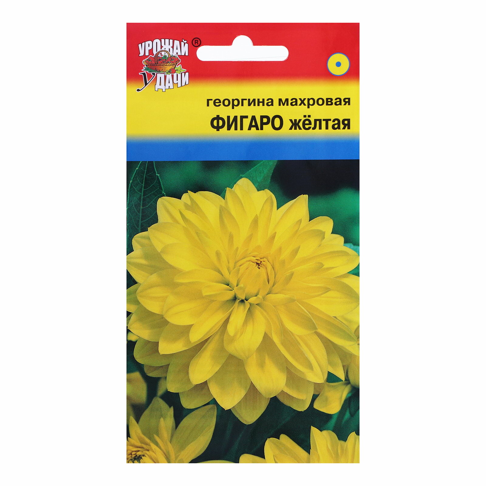 Семена цветов Георгина "Фигаро", Жёлтая, 0.05 г, назначение: для балкона, веранды