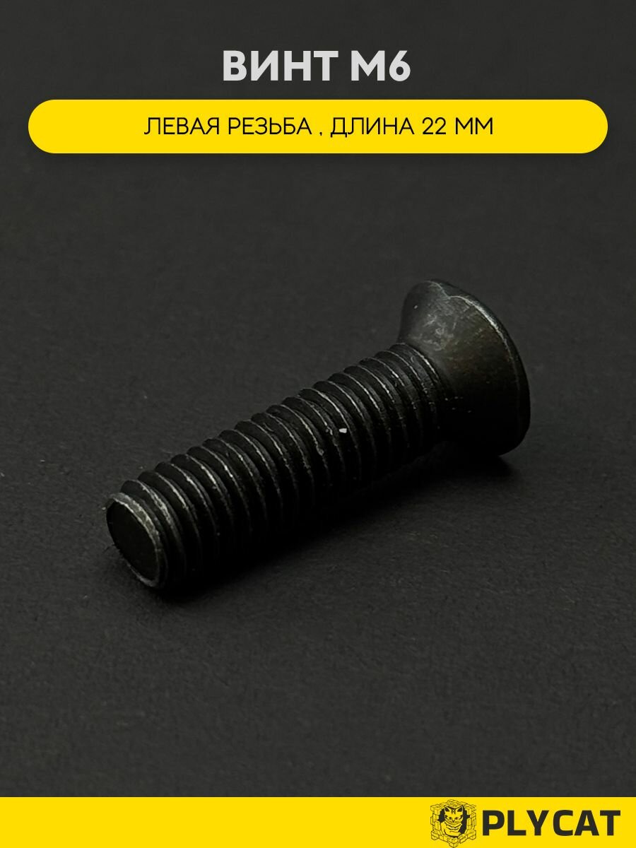 Винт М6 с левой резьбой, длина 22 мм