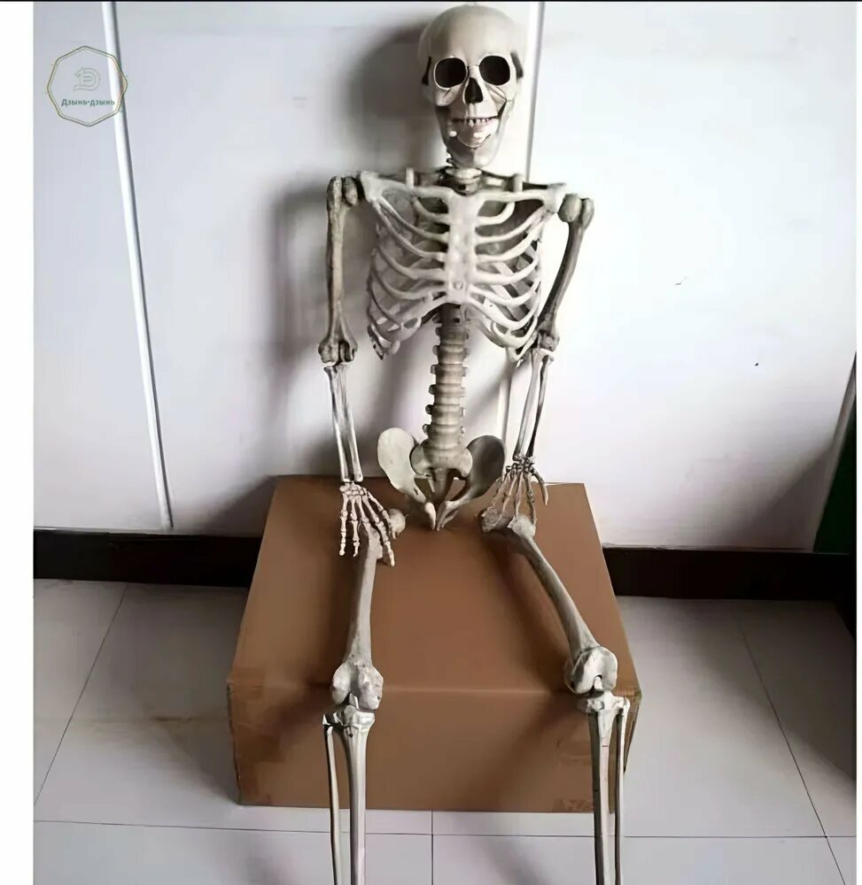 Скелет человека 170 см, праздничное украшение