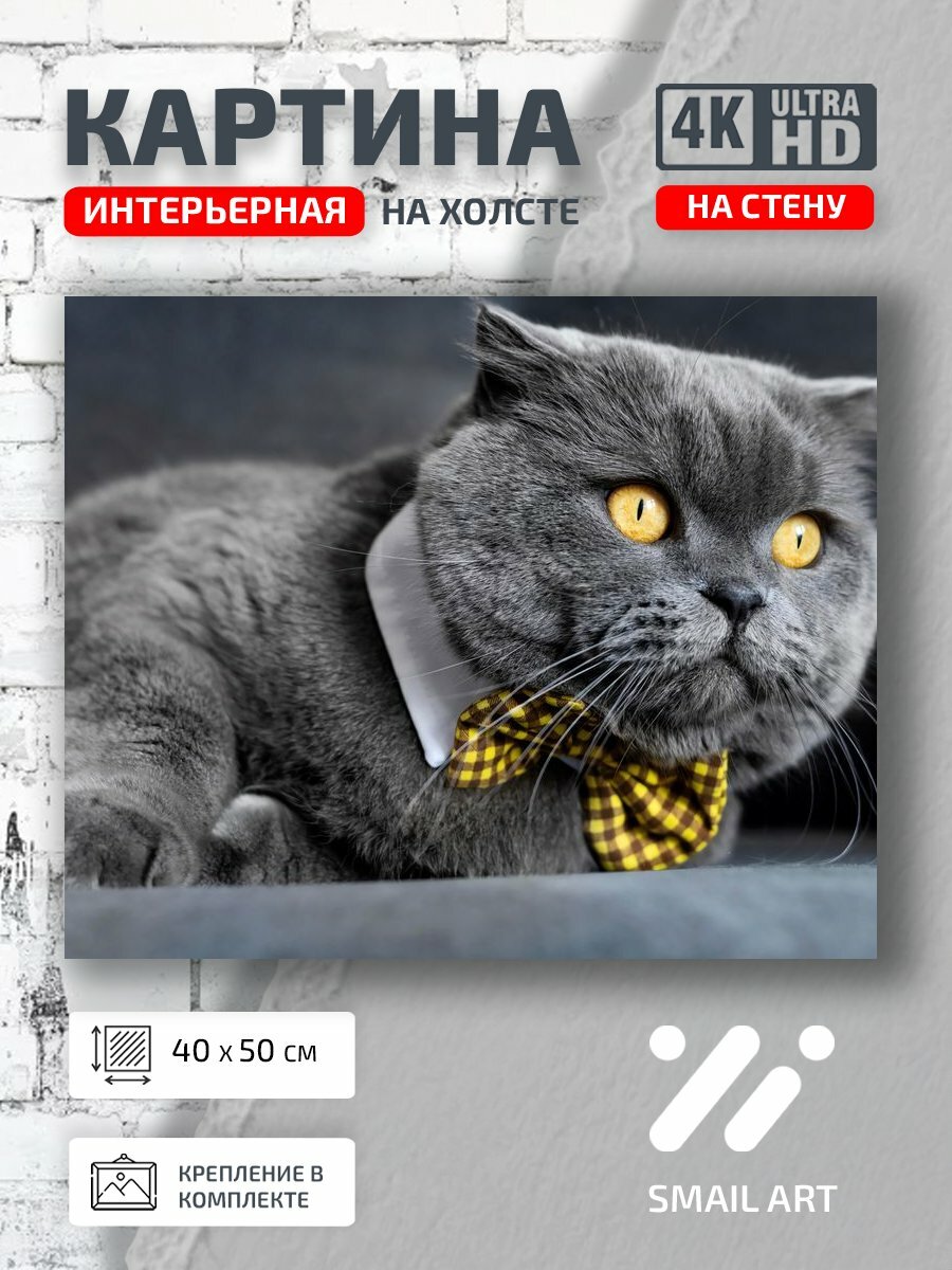 Картина на холсте интерьерная 40 на 50 на стену Серая Animal для гостиной animal style