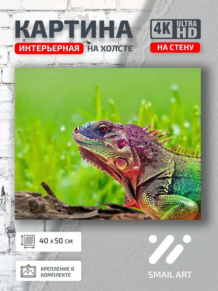 Картина на холсте интерьерная 40 на 50 на стену Игуана Landscape для офиса пейзаж интерьер