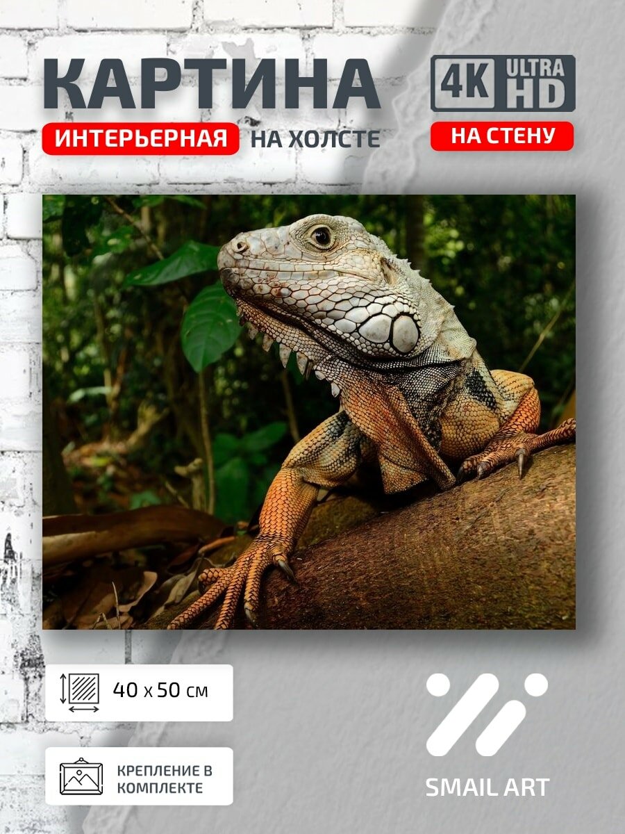 Картина на холсте интерьерная 40 на 50 на стену ящерица дерево для студии атмосфера