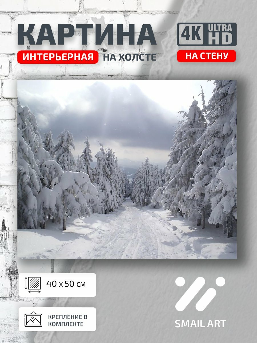 Картина на холсте интерьерная 40 на 50 на стену Зима Landscape для спальни пейзаж интерьер