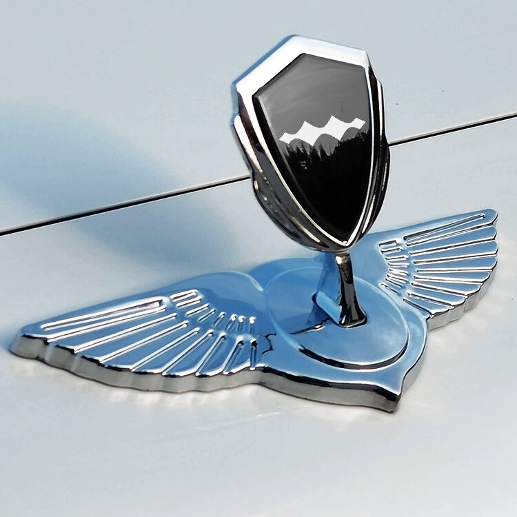 Металлическая 3D-наклейка на решетку радиатора из нержавеющей стали, декоративная, с логотипом автомобиля Equation