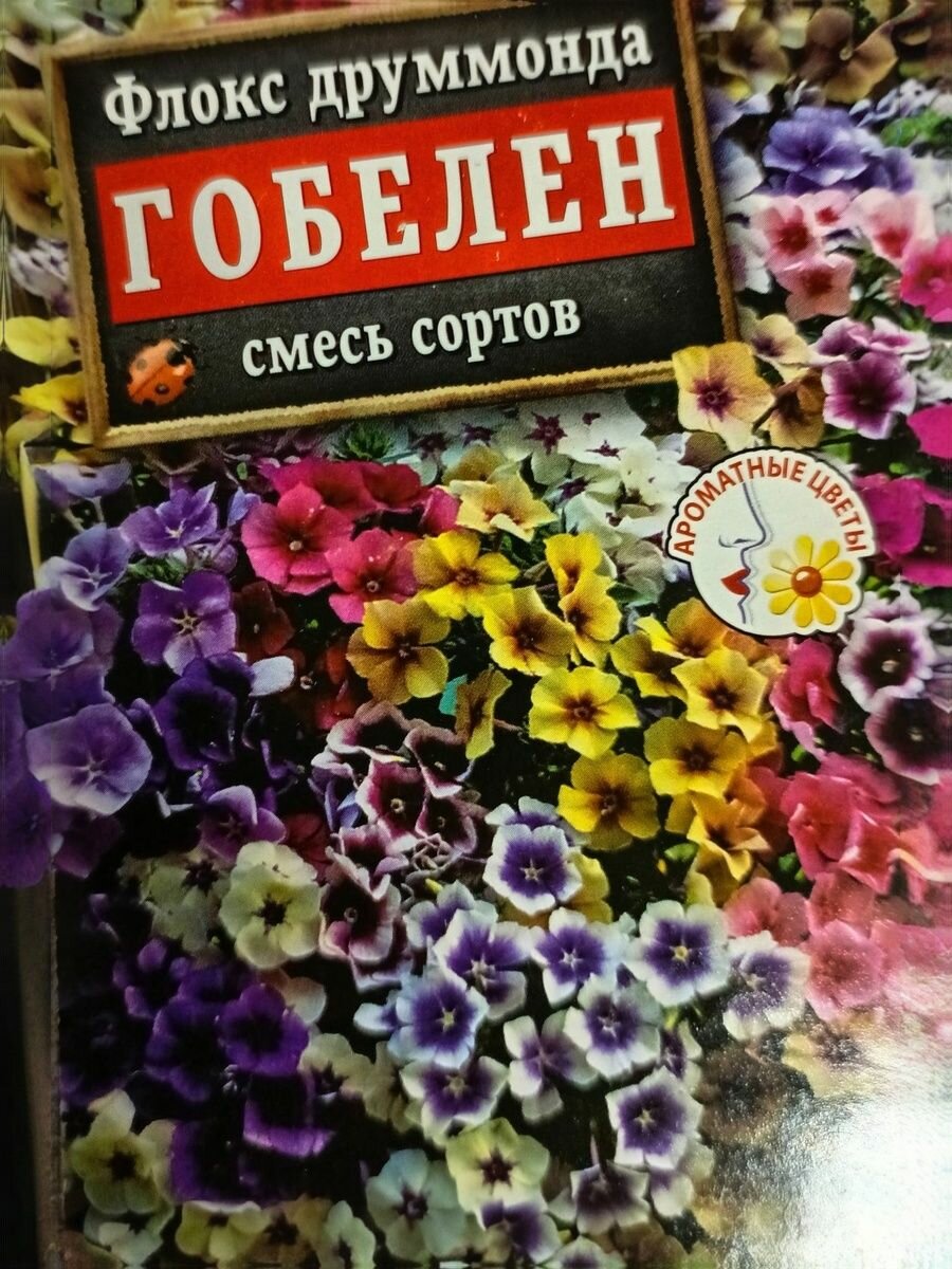 Семена флокс друммонда Гобелен ( смесь сортов ) долгоцветущий однолетник. Аэлита.