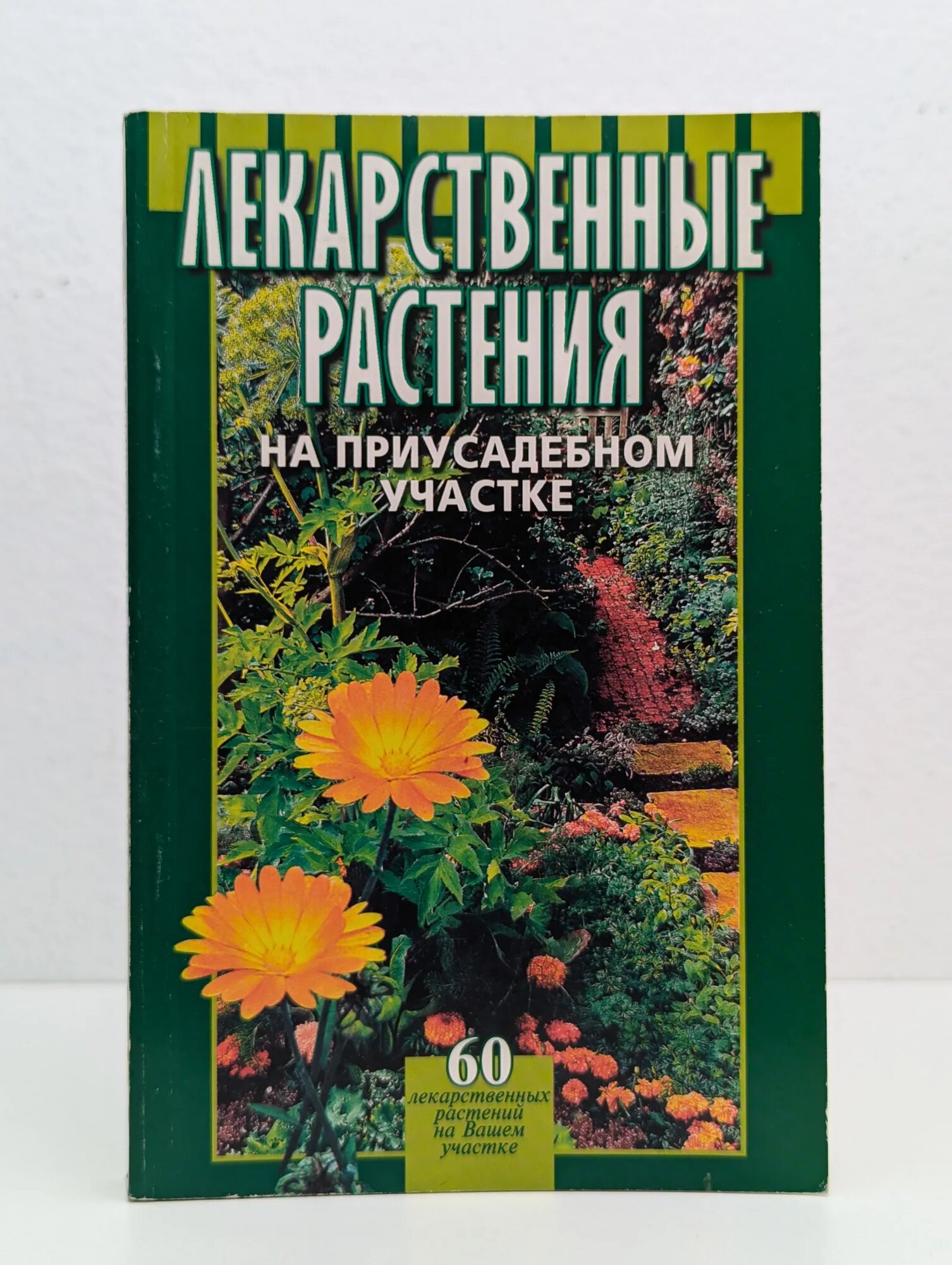 Лекарственные растения на приусадебном участке Рабинович Александр Моисеевич 2000