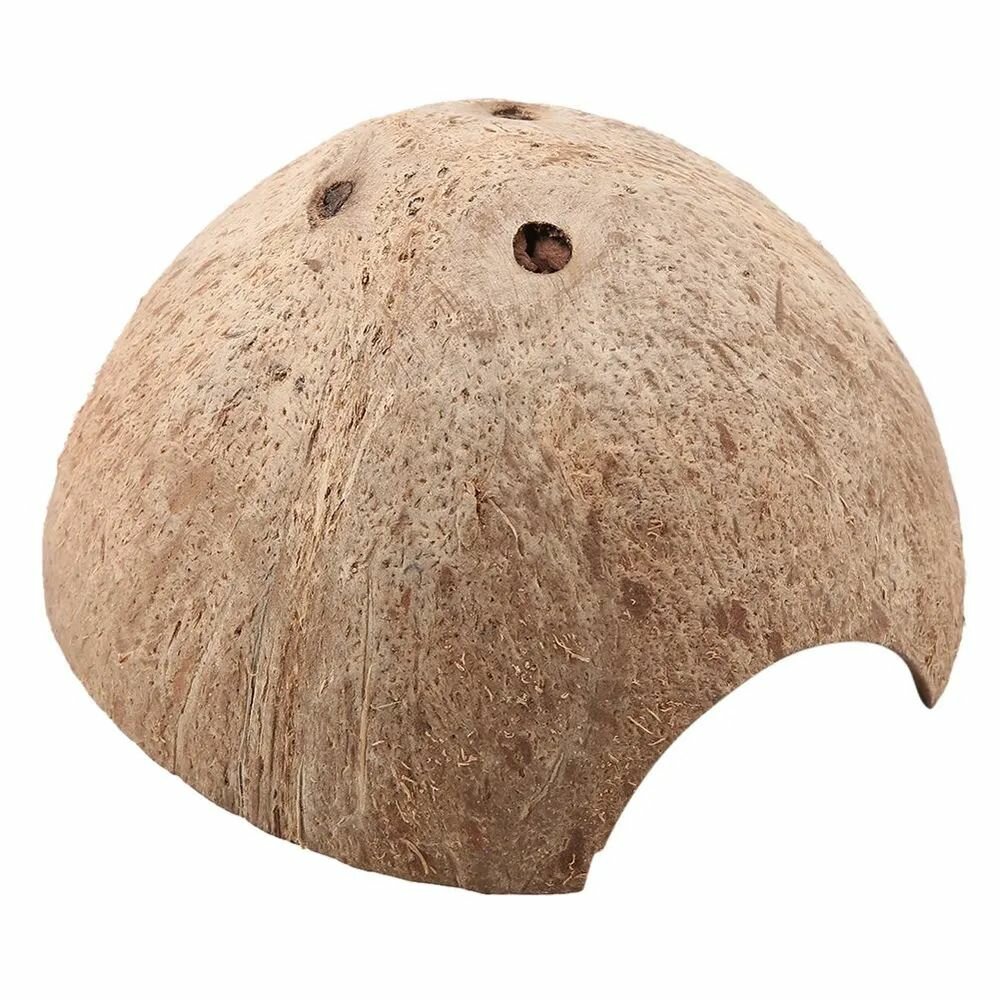 Украшение террариума