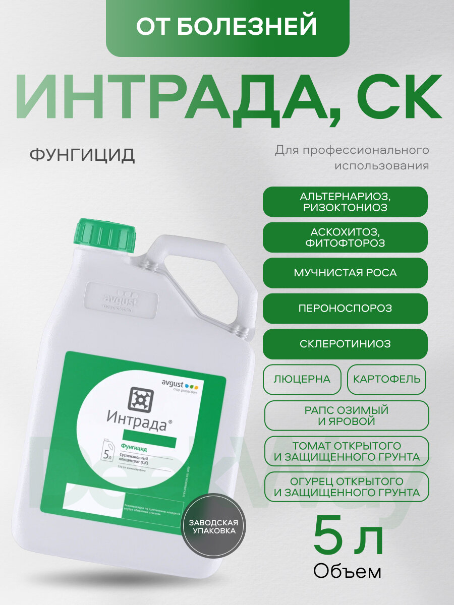 Интрада, СК 5л, фунгицид профилактического и лечащего действия для защиты от болезней растений